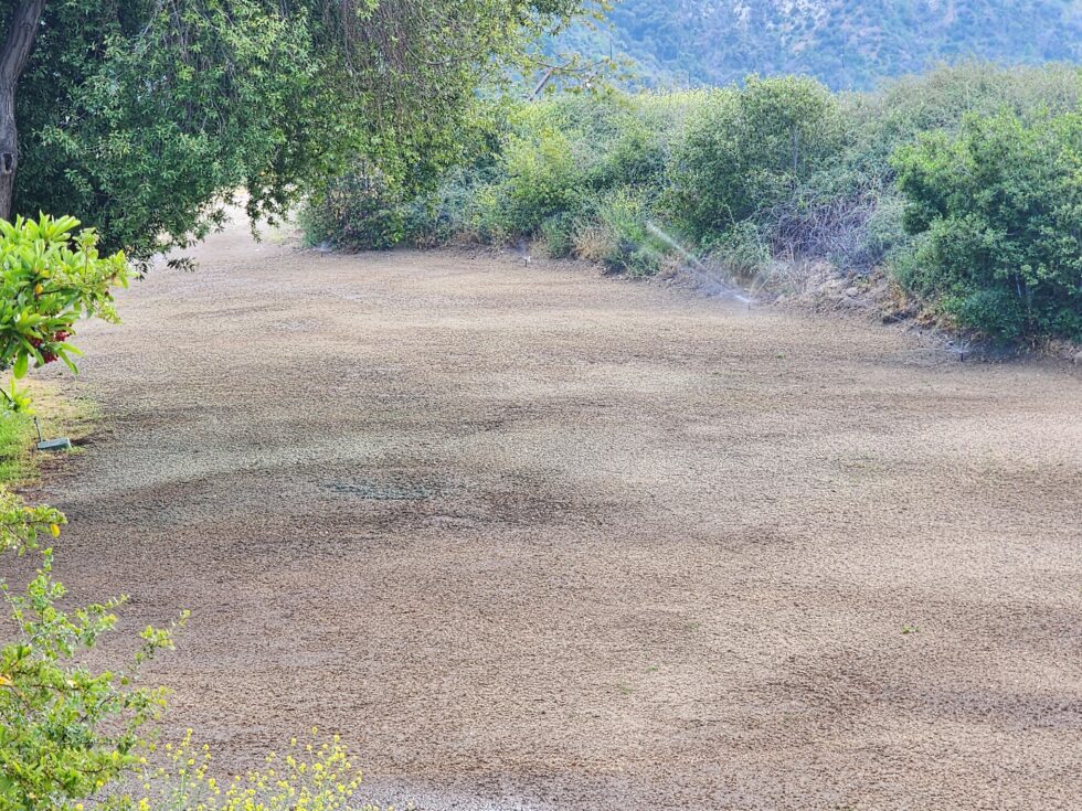 Proper watering is key to success after Hydroseeding - Hydroseed Me